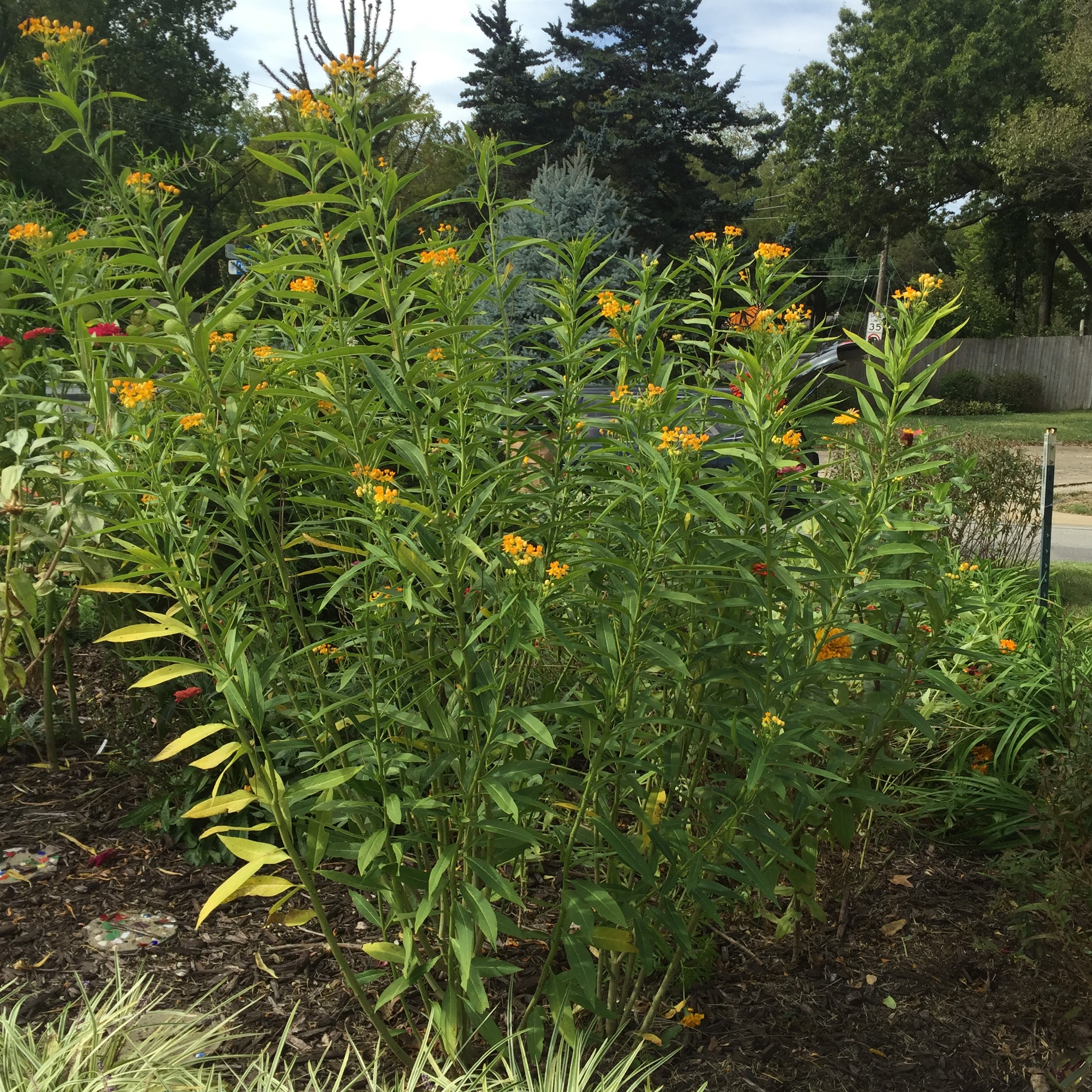 Prairie Hills Homes Association